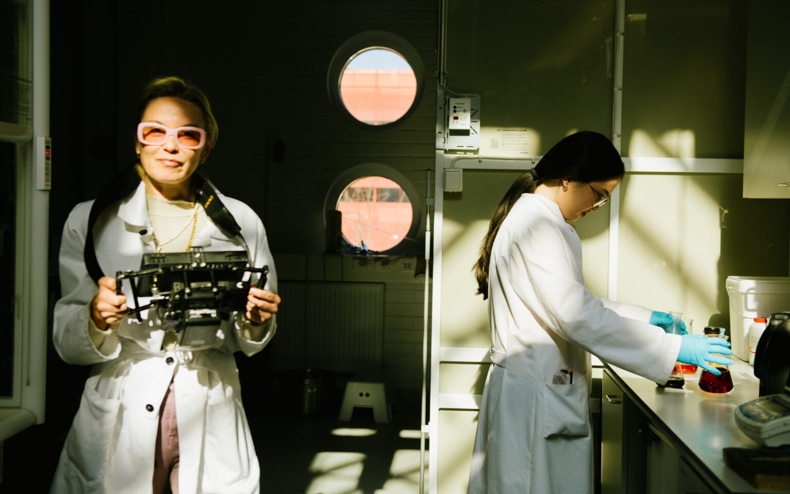 Novelty, disruption, radical creativity and radical innovation